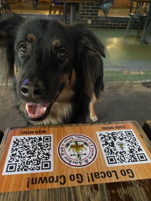 CROWN AND ANCHOR PUB - 73 Photos & 323 Reviews - 2911 San Jacinto Blvd ...