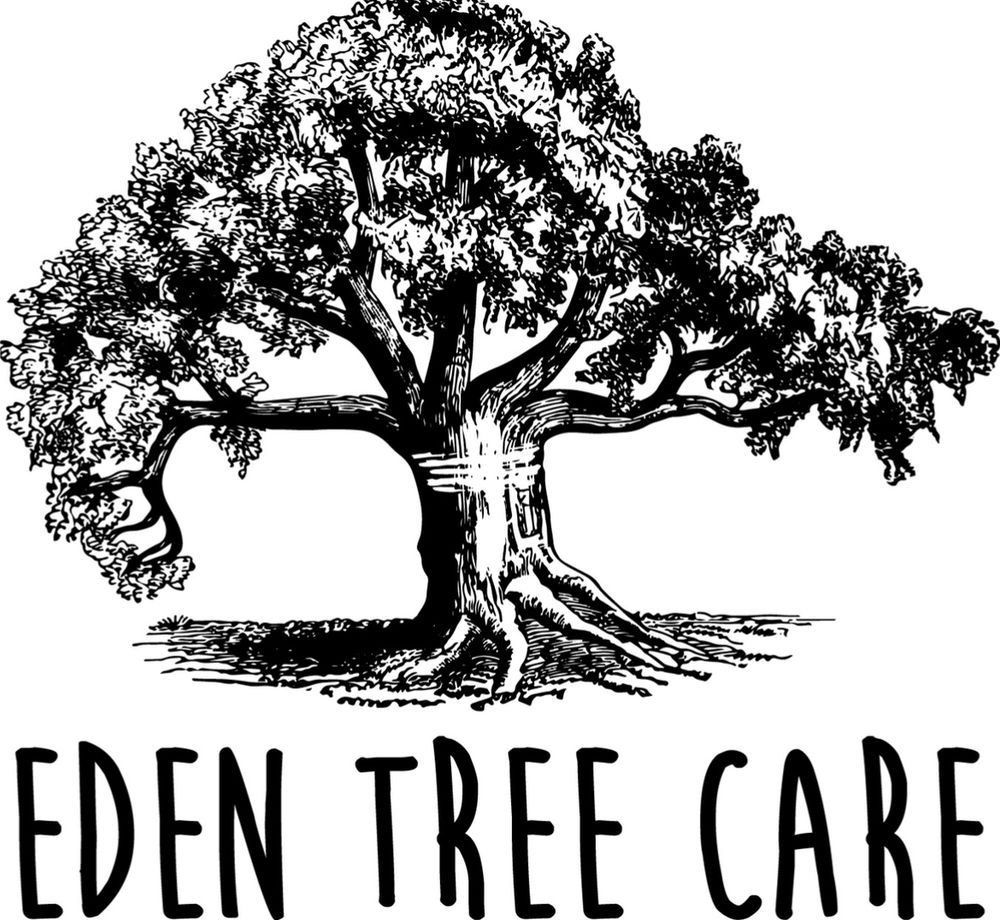 EDEN TREE CARE - Updated September 2024 - Request a Quote - Parker ...