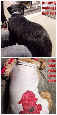 WCIU CHANNEL 26 - Updated September 2025 - 26 N Halsted, Chicago ...