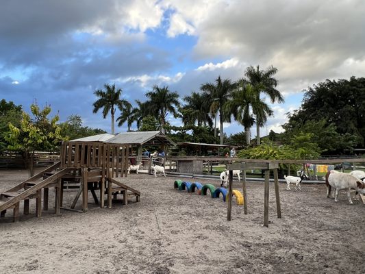 MY LITTLE FARM DAVIE - Updated May 2025 - 42 Photos - 1731 SW 139th Ave ...