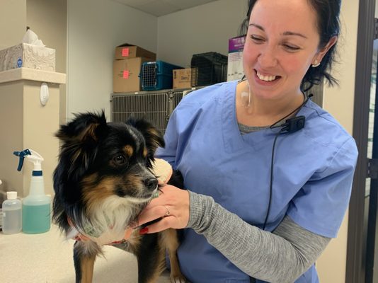 SUNSET VETERINARY CLINIC - Updated September 2025 - 28 Photos & 28 ...