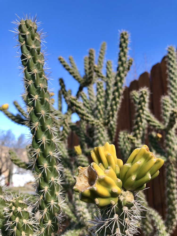 BLUE DIAMOND PARK - Updated March 2025 - 67 Photos & 13 Reviews - 28 ...