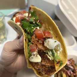 AVO TACO - Updated January 2026 - 571 Photos & 190 Reviews - 212-97 ...