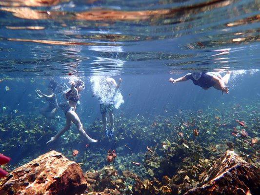 CENOTE NICTE HA - 11 Photos - Carretera 307 Km 244.5, Tulum, Quintana ...