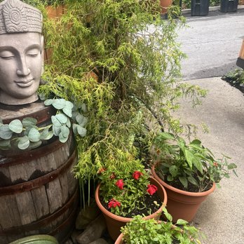 THE MOUZON HOUSE - Updated July 2025 - 232 Photos & 266 Reviews - 1 ...