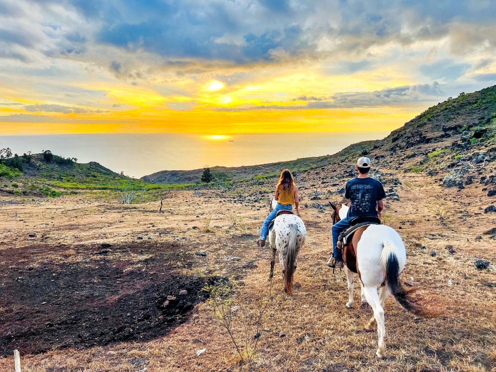 PALEHUA TRAIL RIDES - 33 Photos - 1 Palehua Rd, Kapolei, Hawaii ...