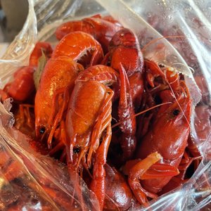 BAYOU CAT RESTAURANT - 286 Photos & 314 Reviews - 2505 E Arkansas Ln ...