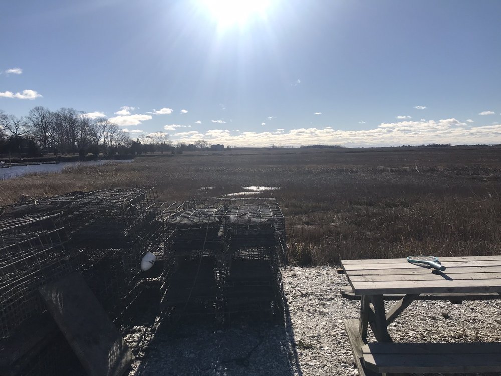 INDIAN RIVER SHELLFISH - Updated December 2025 - 178 Cottage Rd ...