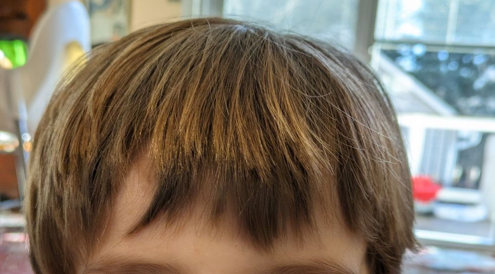 KOOL KUTS - Updated October 2025 - 20 Photos & 29 Reviews - 4765 Lee ...