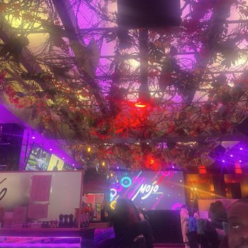 MOJO RVC - Updated February 2025 - 472 Photos & 313 Reviews - 300 ...