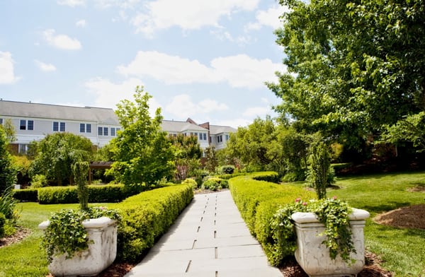 CAROLINA MEADOWS - Updated August 2025 - 18 Photos & 10 Reviews - 100 ...