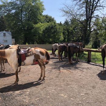 RED BUFFALO RANCH - Updated December 2025 - 69 Photos & 62 Reviews ...