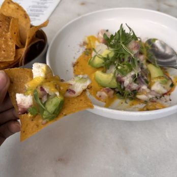 FLORA - Updated October 2025 - 657 Photos & 381 Reviews - 3422 Allen ...