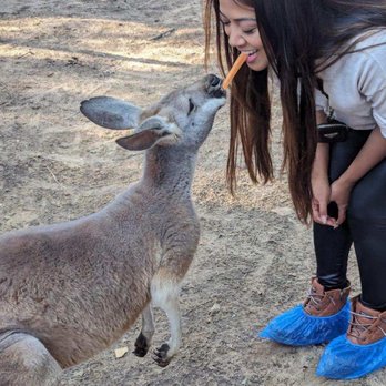 OAK MEADOW RANCH FEATURING THE WHITEHORSE STEAKHOUSE - Updated July ...