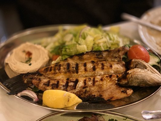 HAYAT’S KITCHEN - 877 Photos & 1309 Reviews - 11009 Burbank Blvd, North ...