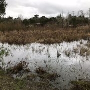 DON CASTRO REGIONAL RECREATION AREA - 361 Photos & 81 Reviews - 22400 ...