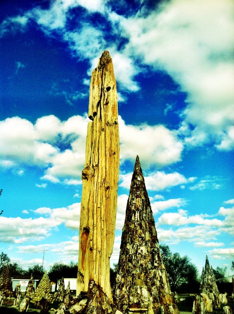 THE PETRIFIED WOOD PARK & MUSEUM - Updated October 2025 - 500 Main Ave ...