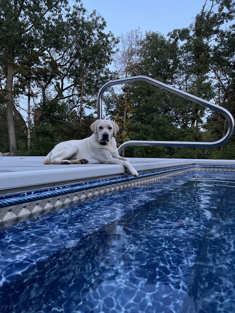 ROYALE POOLS - Updated January 2026 - 60 E Cemetery Rd, Fairfax, Iowa ...