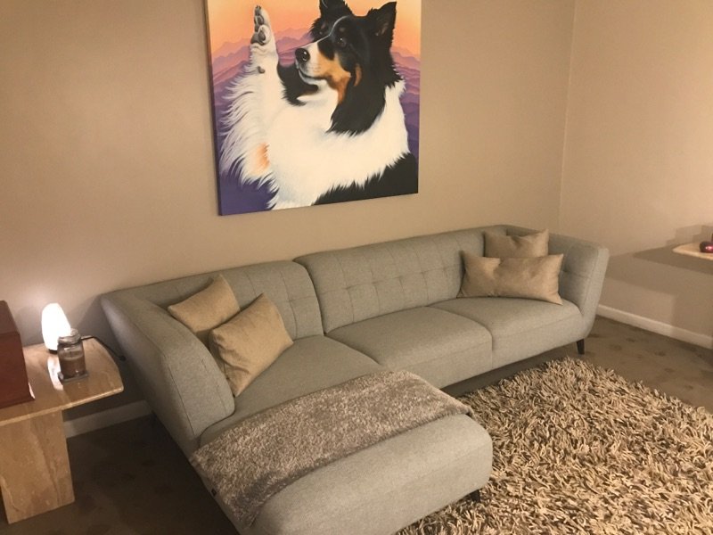 PALS - 64 Photos & 88 Reviews - 3629 N 40th Ave, Phoenix, Arizona - Pet ...