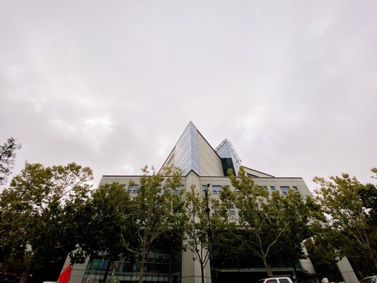 DR MARTIN LUTHER KING JR. LIBRARY - Updated November 2024 - 299 Photos ...