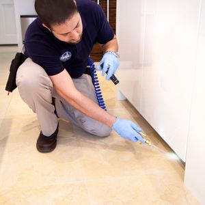 ZONE HOME SOLUTIONS - Updated December 2024 - 36 Photos & 146 Reviews ...