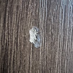 Best Carpet Binding Near Me - November 2025: Find Nearby Carpet Binding ...