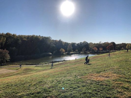 LAUREL ACRES PARK - Updated May 2024 - 55 Photos & 35 Reviews - 1045 S ...