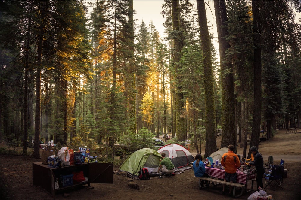 CRANE FLAT CAMPGROUND - Updated June 2026 - 48 Photos & 56 Reviews ...