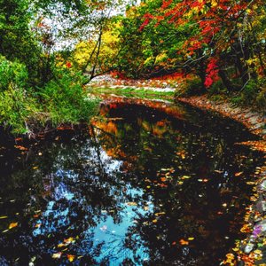 FLOATING POOL AT BARRETTO POINT PARK - Updated September 2025 - 12 ...