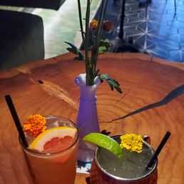 DARLING AVIARY - 659 Photos & 454 Reviews - 712 K St, Sacramento ...