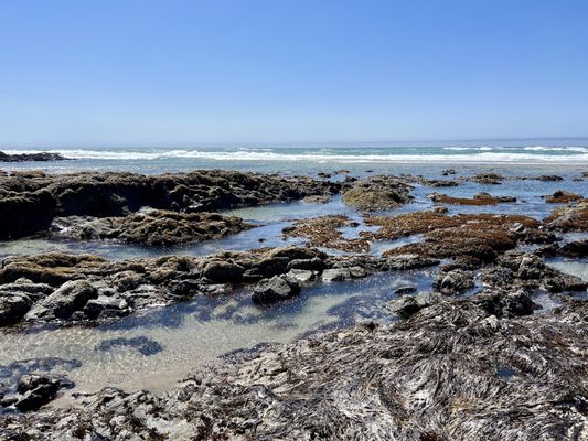 SEA PERCH RV RESORT - Updated November 2025 - 110 Photos & 70 Reviews ...