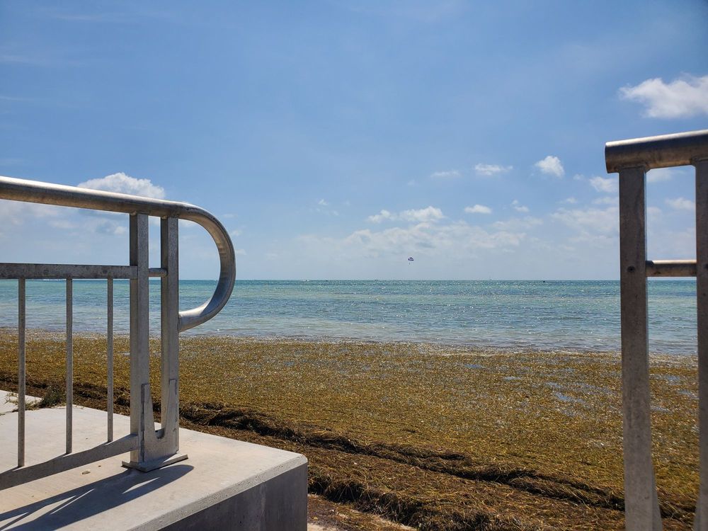 REST BEACH - Updated April 2025 - 21 Photos - White St & Atlantic Blvd ...