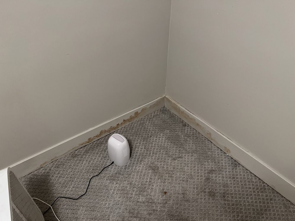 QUALITY RESTORATION - Updated June 2025 - 10 Photos - 975 North 1430 W ...