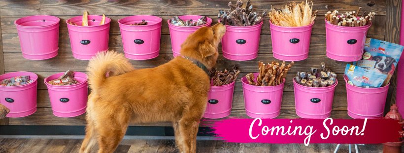 WOOF GANG BAKERY & GROOMING SPRINGWOODS VILLAGE - Updated August 2025 ...