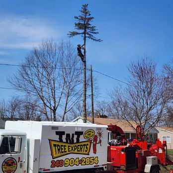 TNT TREE EXPERTS - Updated December 2025 - 12 Photos - Holly, Michigan ...