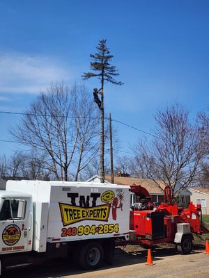 TNT TREE EXPERTS - Updated December 2025 - 12 Photos - Holly, Michigan ...