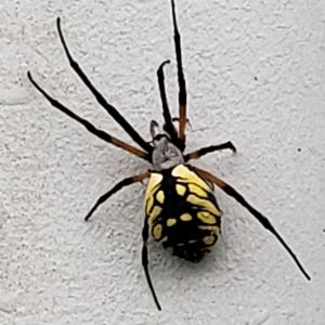 A PERMATREAT PEST & TERMITE CONTROL - Updated October 2025 - 10 Photos ...