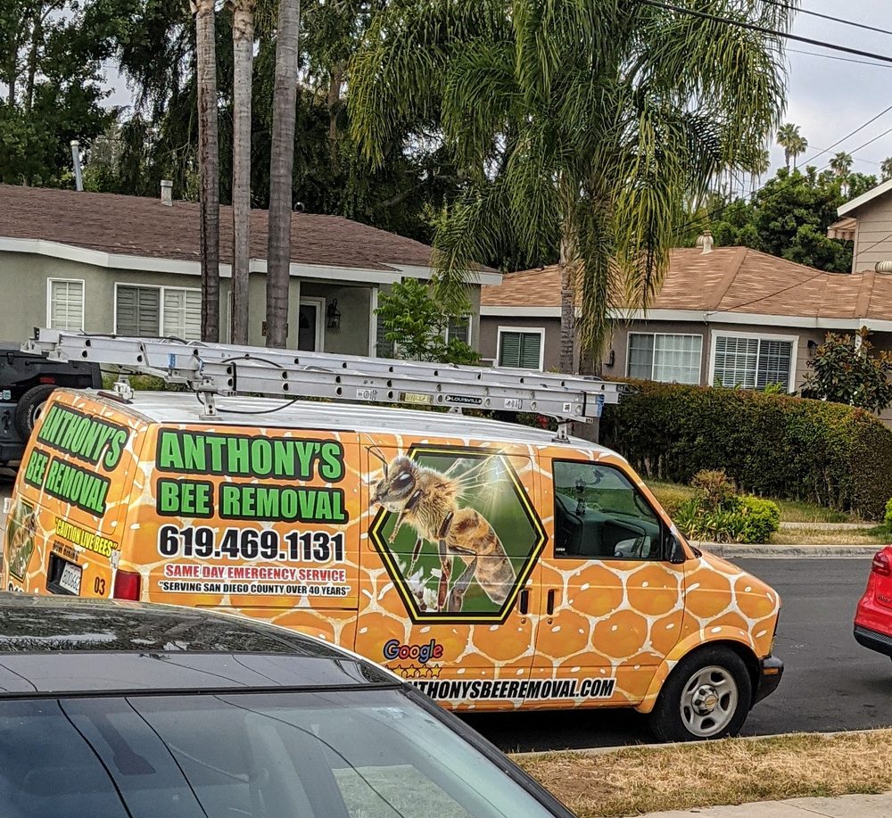 ANTHONY’S BEE REMOVAL CO. - Updated July 2024 - 36 Photos & 54 Reviews ...