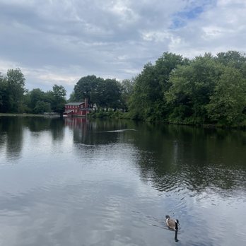 COOPER’S POND PARK - Updated January 2026 - 116 Photos & 21 Reviews ...
