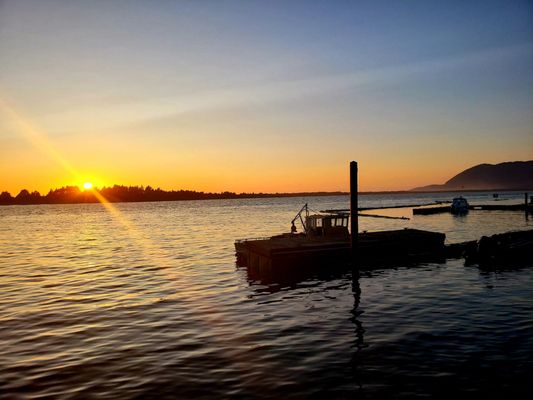 KELLY BRIGHTON MARINA - 416 Photos & 202 Reviews - 29200 Hwy 101 N ...