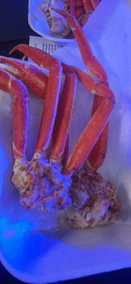 INFINITY LIVE - Updated May 2024 - 18 Photos & 16 Reviews - 7004 Smith ...