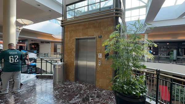 SPRINGFIELD MALL - Updated September 2025 - 44 Photos & 71 Reviews ...