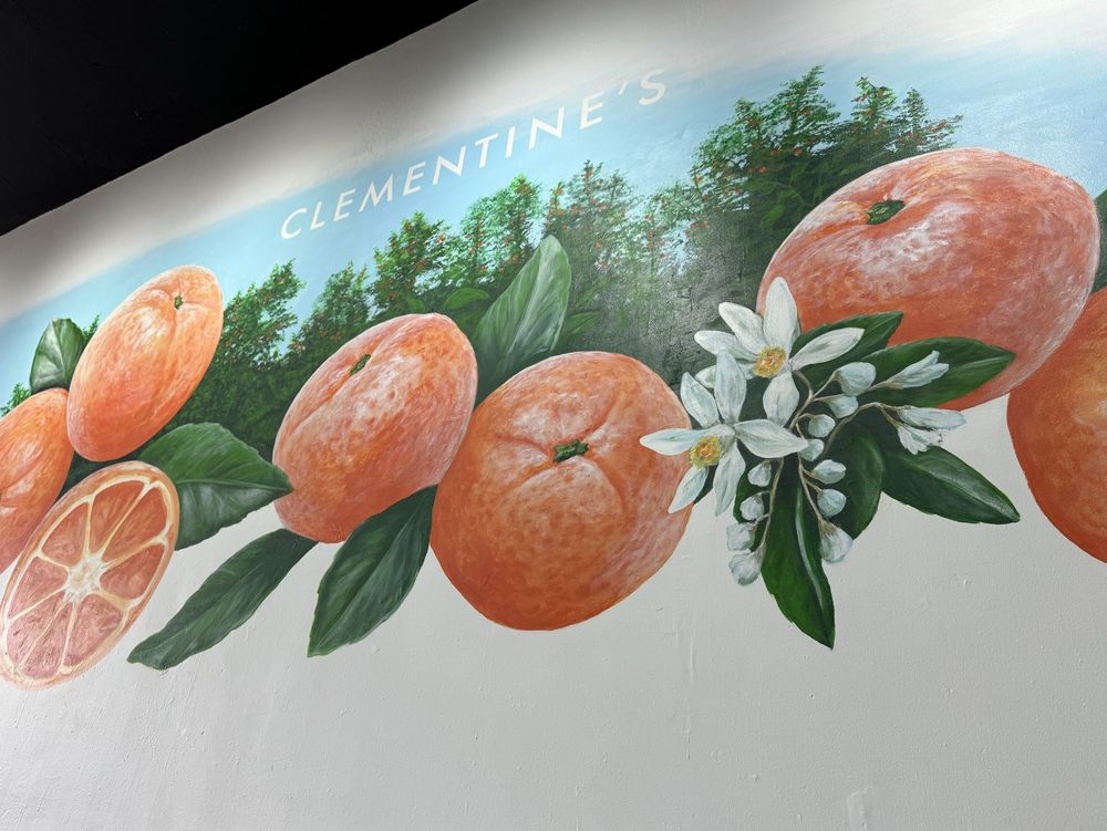 CLEMENTINE’S CANTINA - Updated November 2024 - 122 Davis Ave, Elkins ...