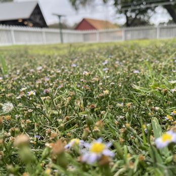 NASH FARM - Updated December 2025 - 100 Photos & 19 Reviews - 626 Ball ...