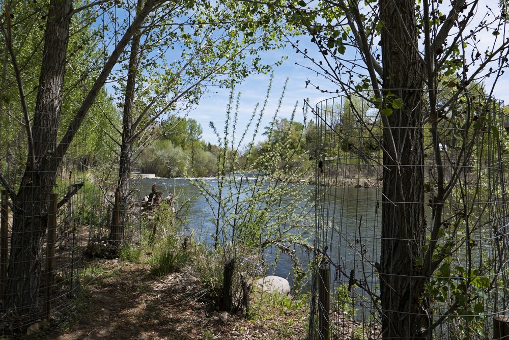 OXBOW NATURE STUDY AREA - 112 Photos & 25 Reviews - 3100 Dickerson Rd ...