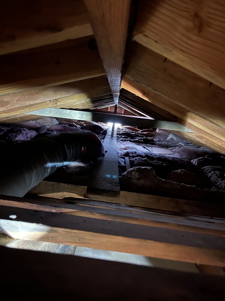 ATTIC GUYS - Updated December 2025 - 166 Photos & 177 Reviews - 1150 N ...