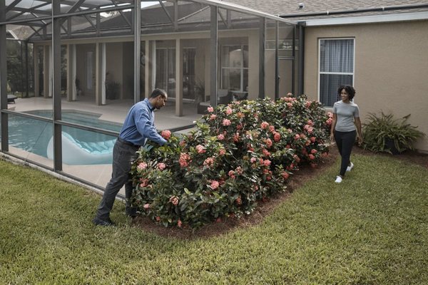 PURCOR PEST SOLUTIONS - Updated August 2025 - 19 Photos - 3200 N ...