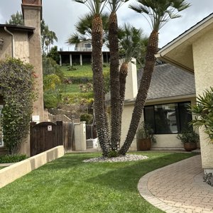 ALL ACCESS TREE CARE - Updated April 2025 - 182 Photos & 283 Reviews ...