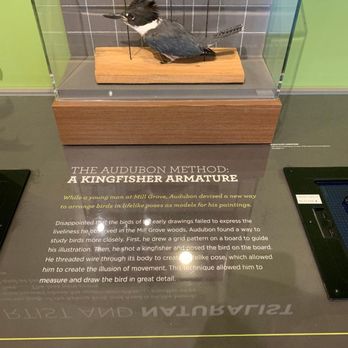 JOHN JAMES AUDUBON CENTER AT MILL GROVE - Updated May 2026 - 144 Photos ...