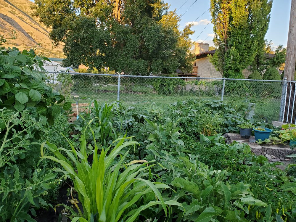 WALMART PHOTO CENTER - 160 Springville Station Blvd, Springville ...